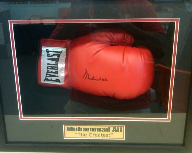 Robbie's First Base 9 W. Ridgely Rd. Lutherville, MD 21093 - Protective ...